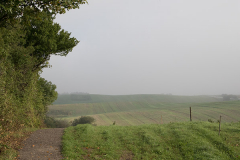 Ejer Bjerge - Natur og turist