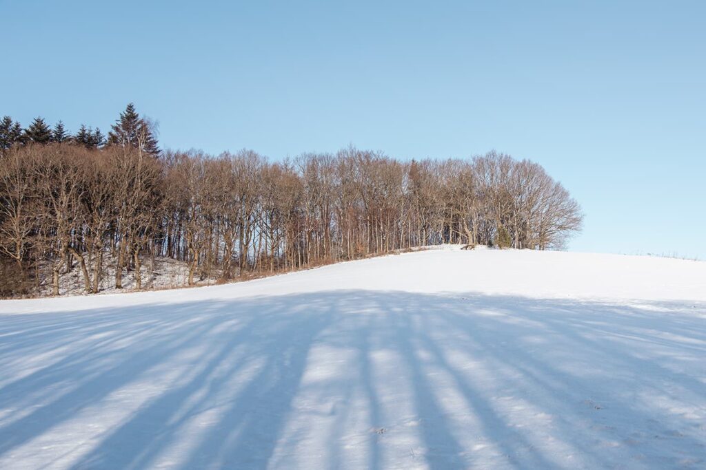 Velkommen til Ejer Bjerge et fælles sted for byerne i området